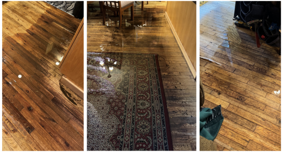 Leading Water Mitigation Services in Greater Portland, OR